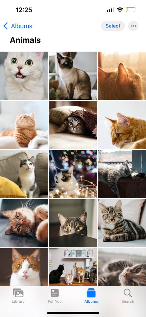 9 Features of the iPhone's Photos App You May Not Know