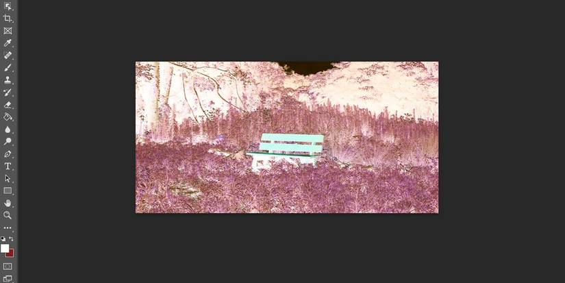 How to Develop Negative Film in Photoshop