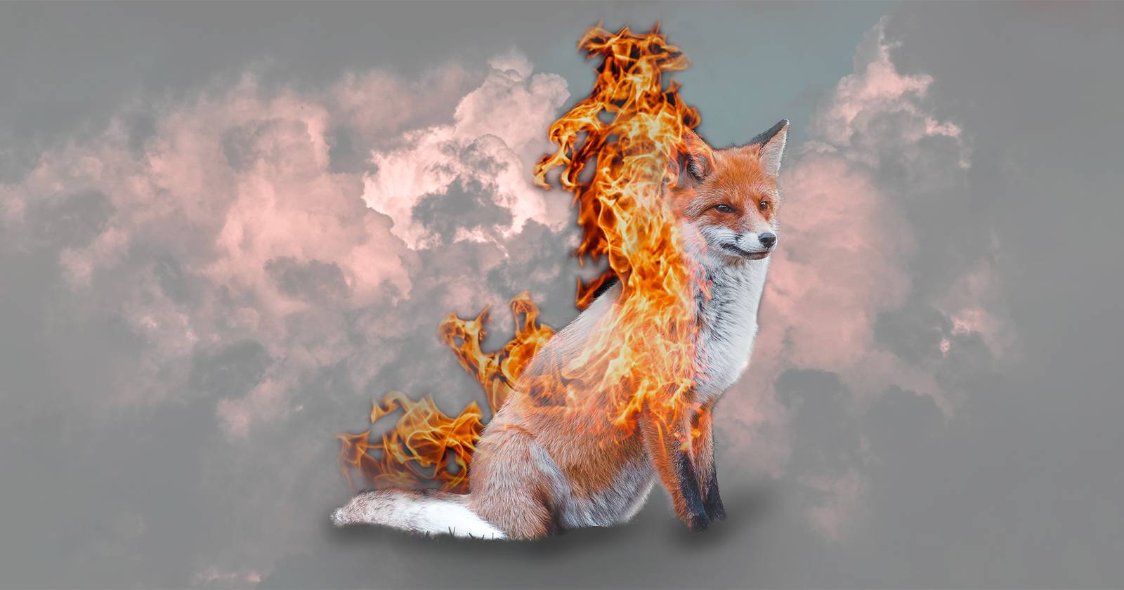 How to Create Double Exposure Images Using Procreate