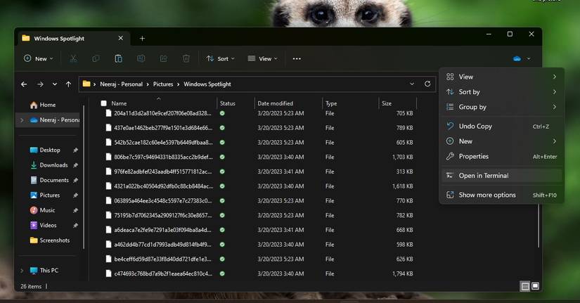 How to Save Windows Spotlight Pictures to Use as Wallpapers When You Want