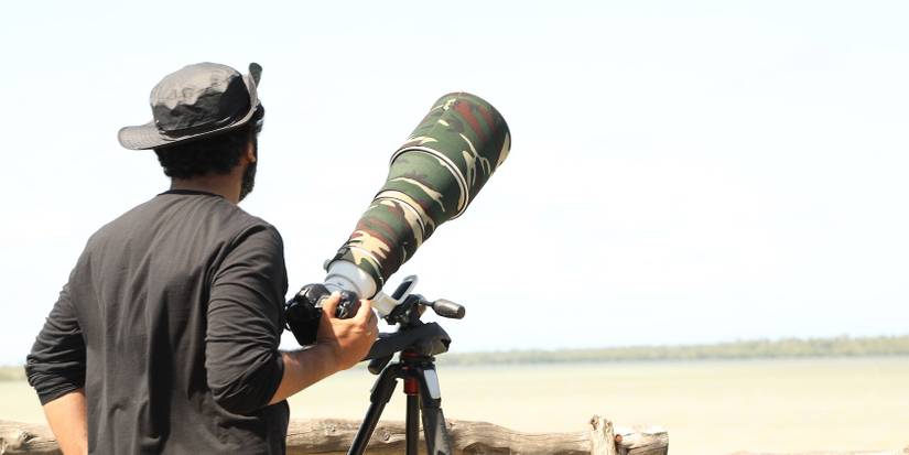 How to Take Breathtaking BIF Photos: 11 Tips for Beginners