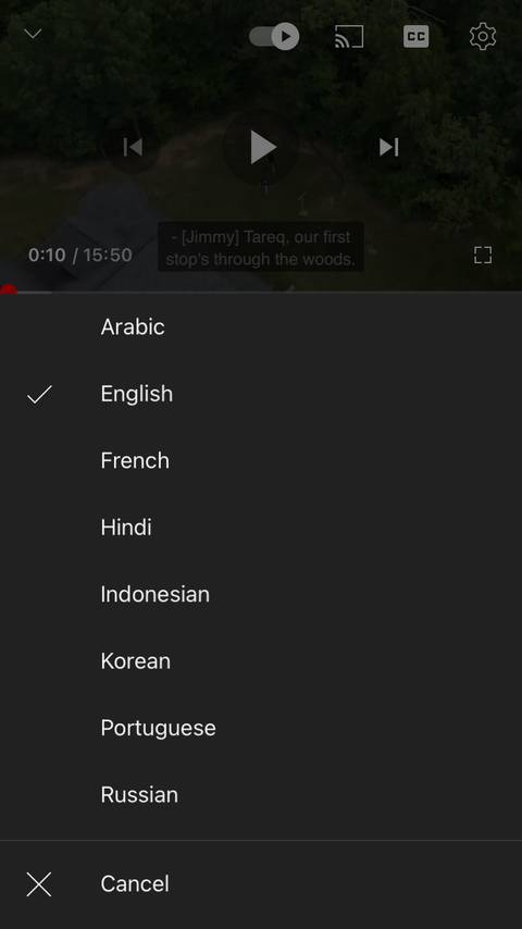 How to Change the Audio Language of Any YouTube Video