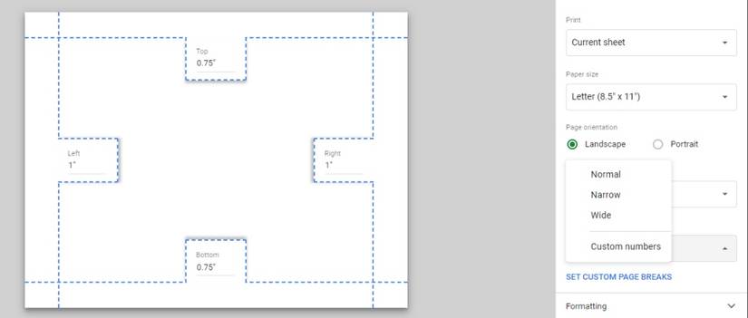 A Beginner's Guide on Printing in Google Sheets