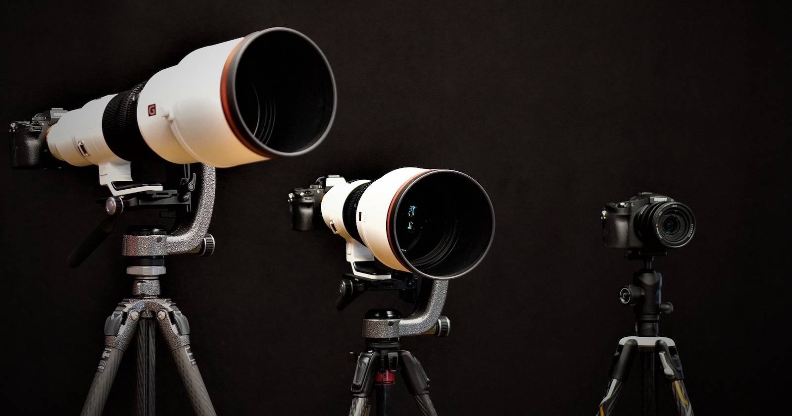 7 Types of Tripod Heads and How to Choose the Right One