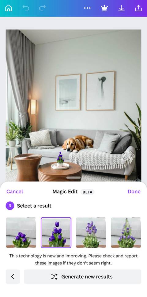 How to Transform Your Images With Canva’s Magic Edit Tool