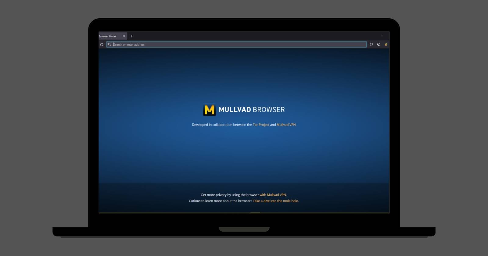 The Mullvad Browser: What Is It, and What Can You Use It For?