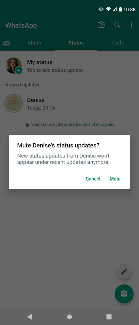 How to Use WhatsApp Status: 11 Things You Need to Know