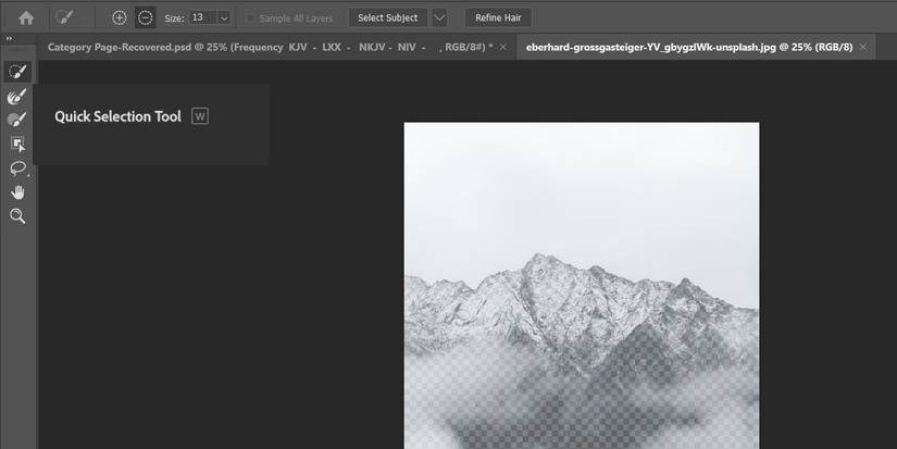 An Overview of the Select and Mask Workspace in Photoshop