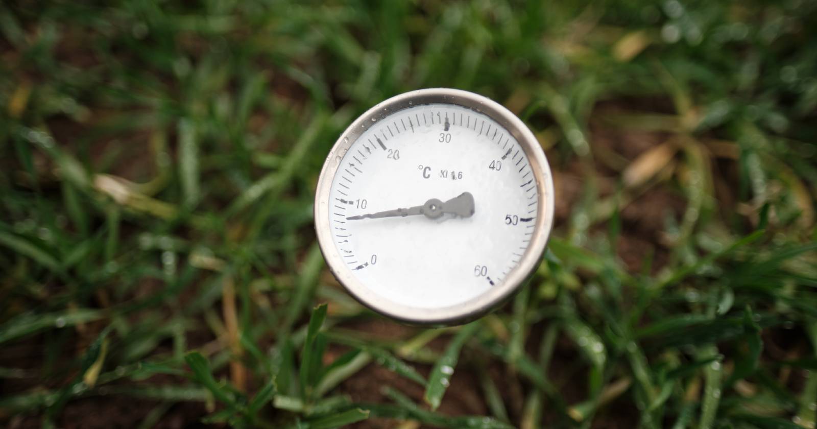 Best Soil Thermometers 2023