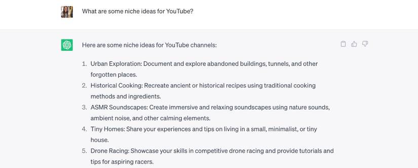 What Is a Niche? How to Find Yours as a Content Creator