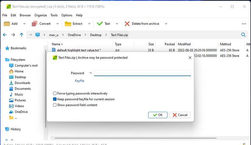 How to Add Passwords to Text Files in Windows 11/10
