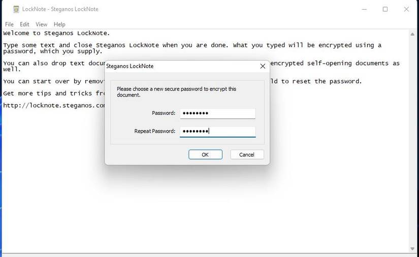 How to Add Passwords to Text Files in Windows 11/10