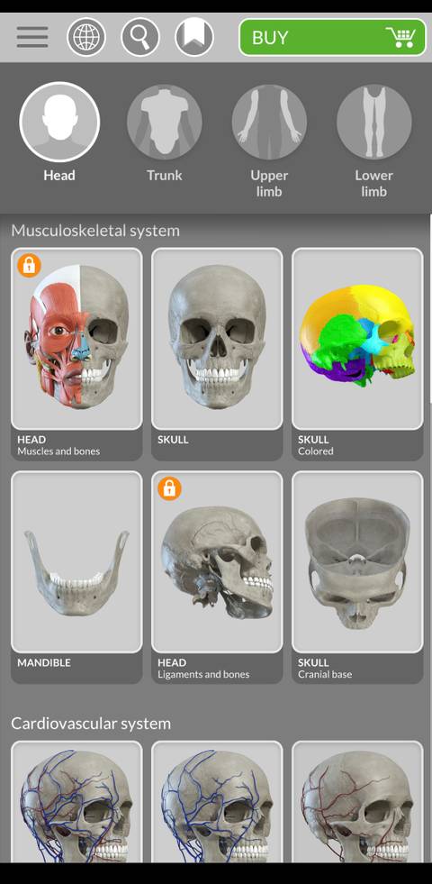 Learn About Human Anatomy in 3D With These 10 Apps