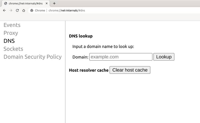 How to View and Flush DNS Cache on Linux
