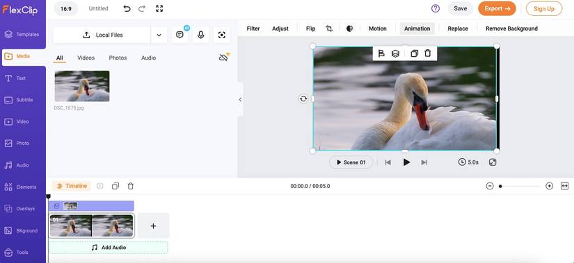 How to Animate Still Images Online: 6 Ways
