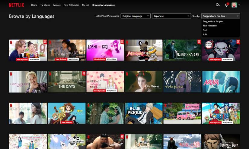 How to Filter Netflix Content by Language