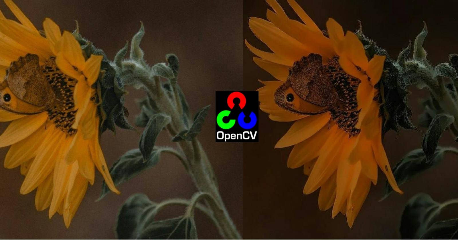 Master Image Enhancement Techniques With OpenCV