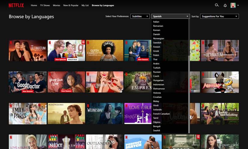 How to Filter Netflix Content by Language