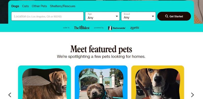 Where to Find Dogs & Puppies for Sale Near You: 10 Ethical Sites