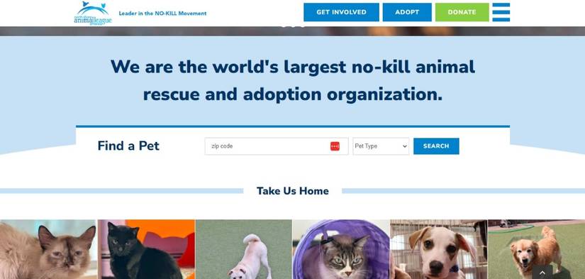 Where to Find Dogs & Puppies for Sale Near You: 10 Ethical Sites