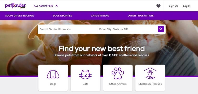Where to Find Dogs & Puppies for Sale Near You: 10 Ethical Sites