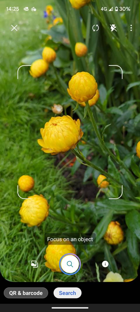 The 6 Best Plant Identifier Apps for Android and iPhone
