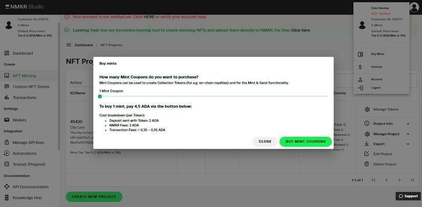 How to Mint an NFT on Cardano (ADA)