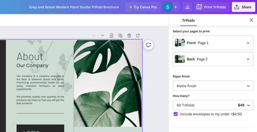 How to Design a Brochure Using Canva