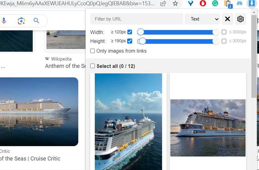 How to Bulk Download Images in Your Browser