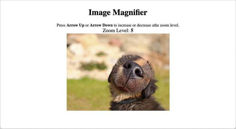 How to Build an Image Magnifier With Vanilla JavaScript
