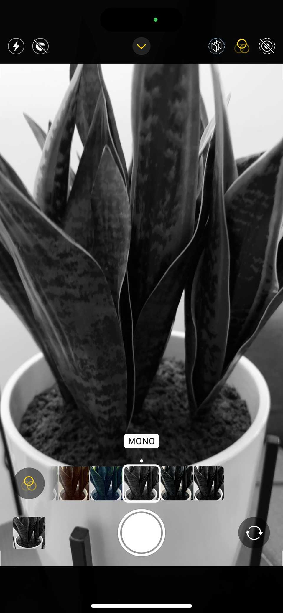 A Beginner’s Guide to Smartphone Photography