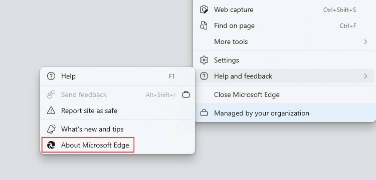 How to Fix the Microsoft Edge WebView2 Process Consuming Your Windows Memory