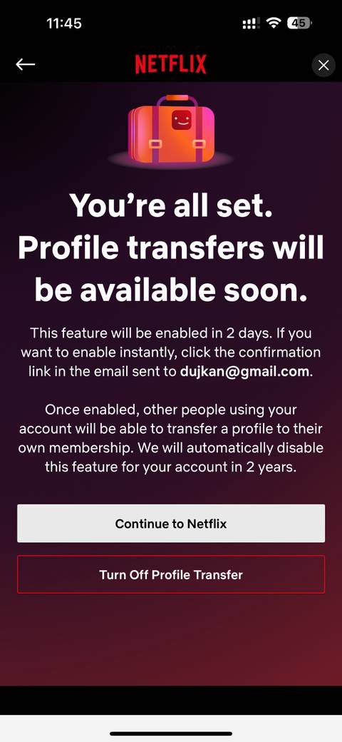 How to Switch Your Netflix Profile to an Existing Account