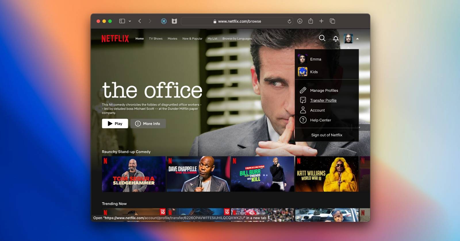 How to Switch Your Netflix Profile to an Existing Account