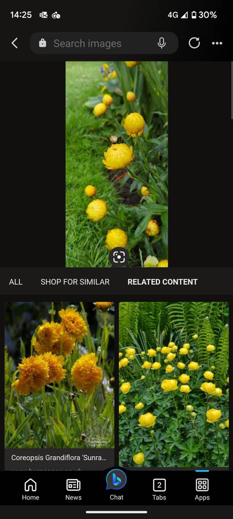The 6 Best Plant Identifier Apps for Android and iPhone
