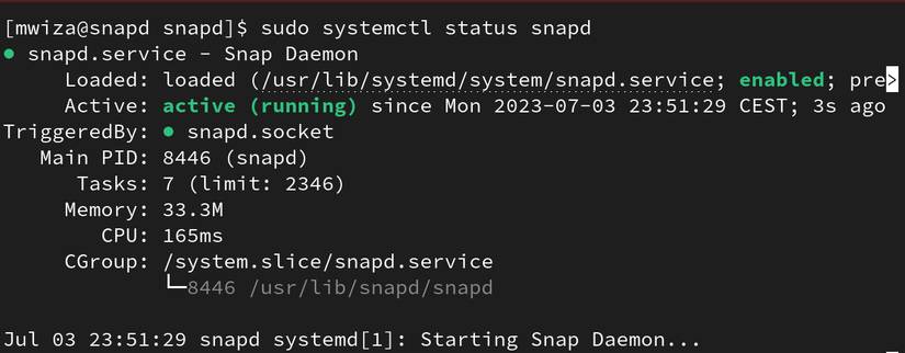 How to Install and Set Up Snap on Arch Linux