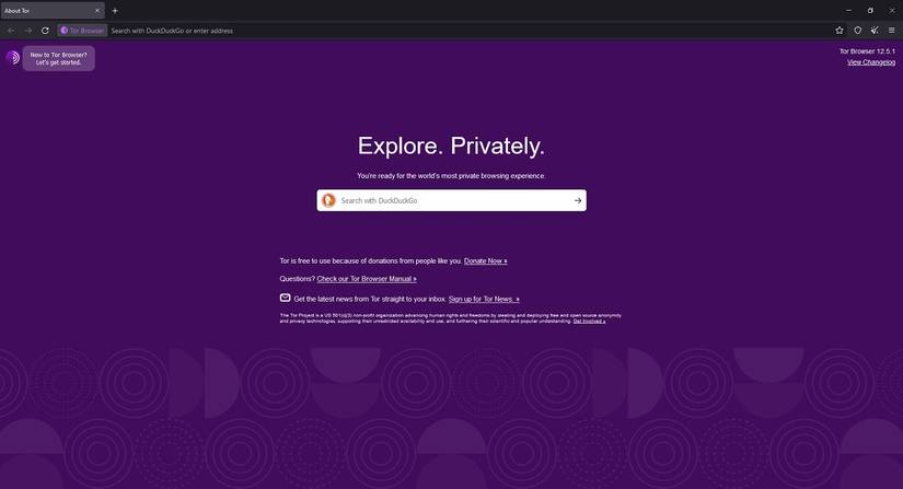 Tor vs. Vivaldi: Which Is the Safer Browser?