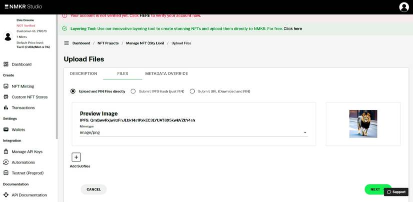 How to Mint an NFT on Cardano (ADA)