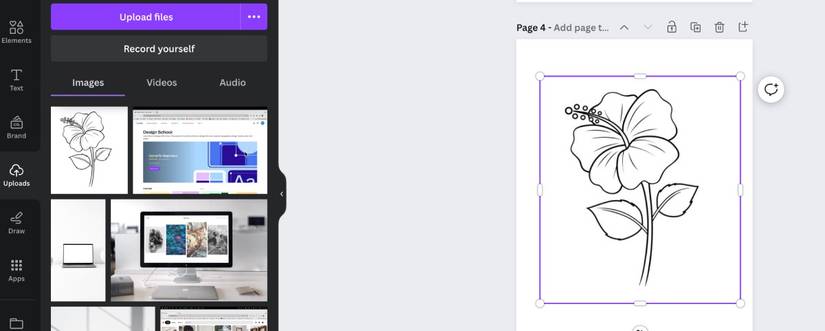 How to Create a Coloring Book on Canva