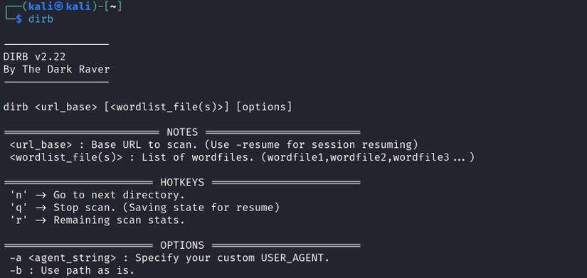 The 5 Best Linux Tools for Directory Bursting
