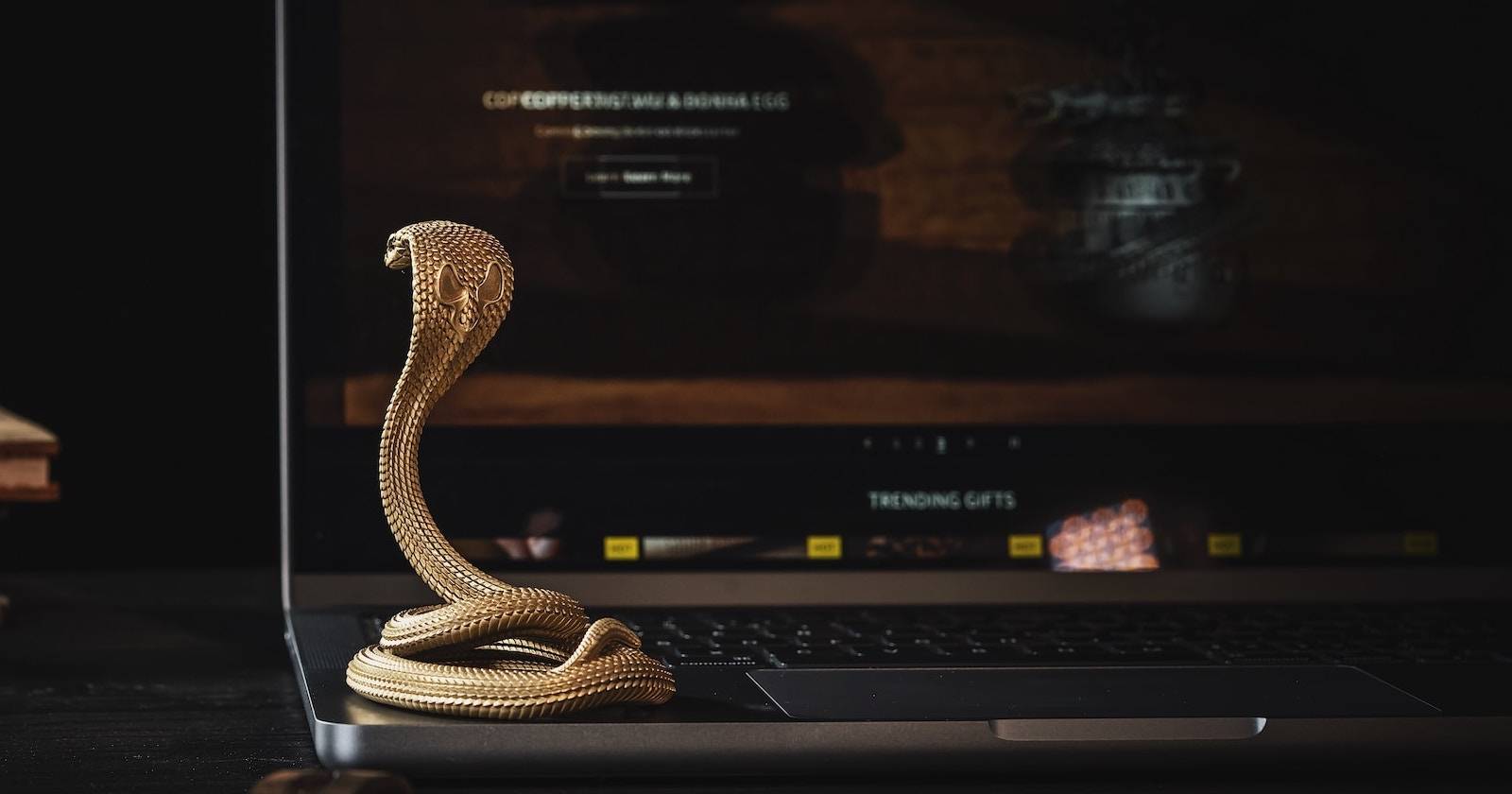 Snake Ransomware Endangers Your Data: How Can You Stop It?