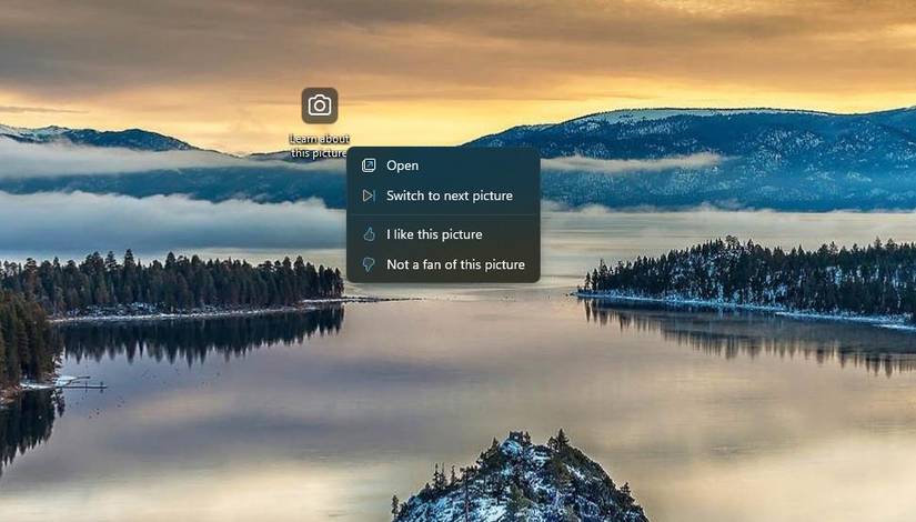 How to Remove the Spotlight Wallpaper Icon From Windows 11’s Desktop