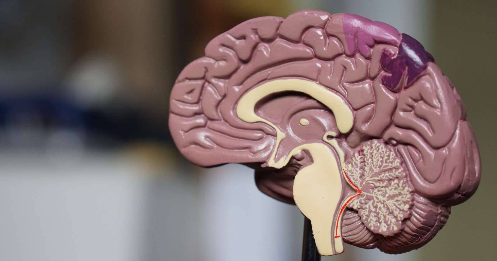 5 Sites to Understand Cognitive Biases and Make Better Decisions