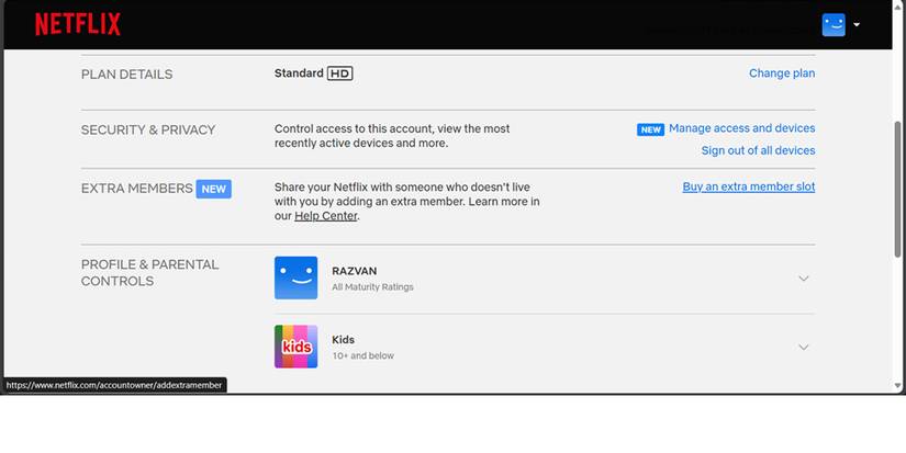 How Netflix's Extra Members Feature Works