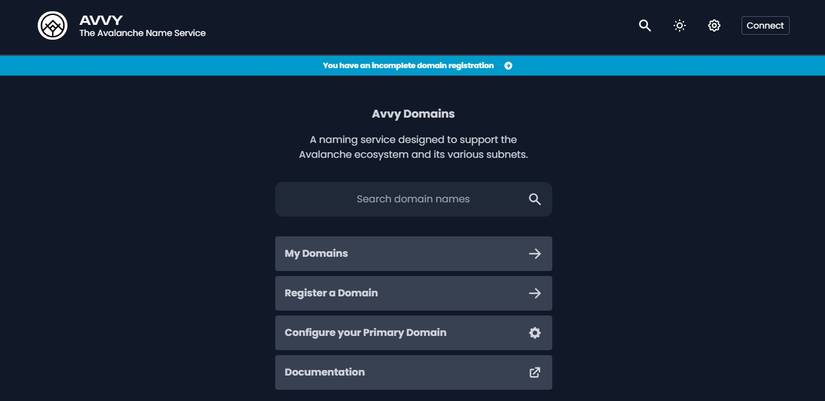 Top 10 Blockchain Domain Name Systems
