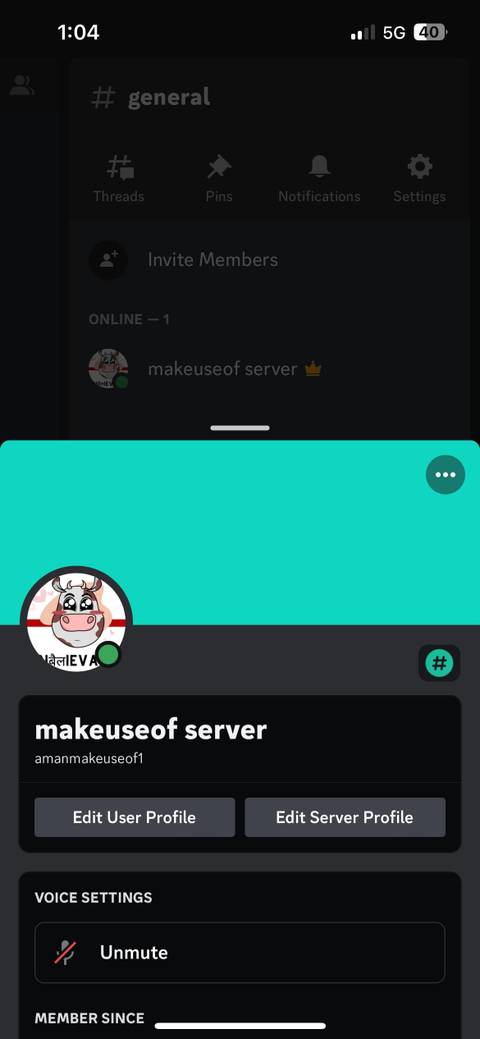How to Change Your Discord Username or Display Name