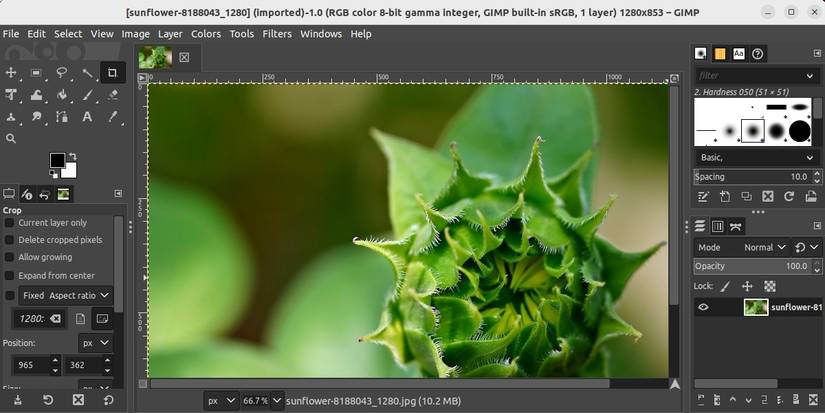 The Top 9 Free-to-Use Image-Editing Apps for Linux