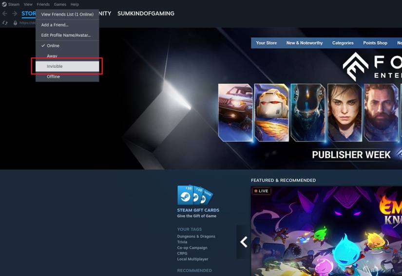 How to Appear Offline on Steam (Even When You’re Online)