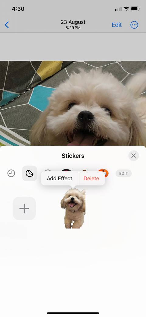 How to Create Custom Stickers From Your Photos on an iPhone