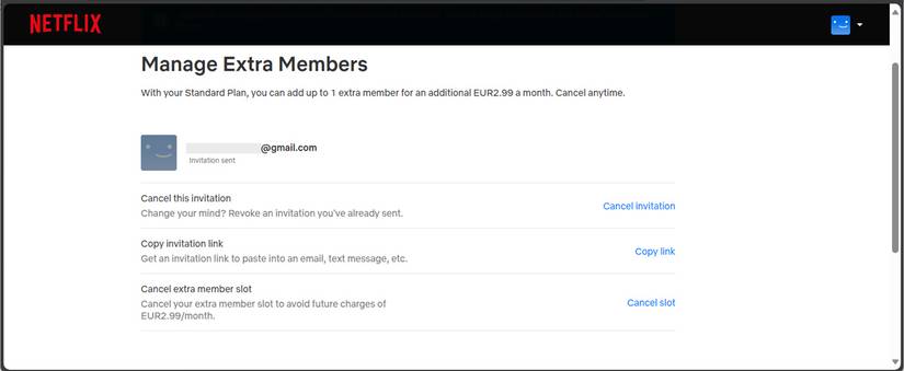 How Netflix's Extra Members Feature Works